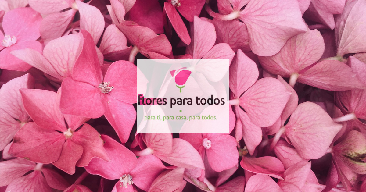 Productos especiales | darkoct02